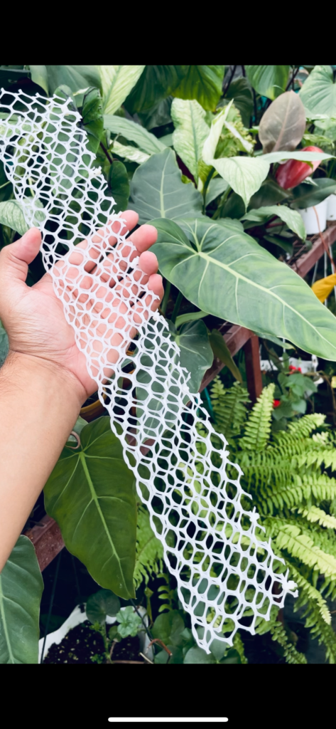 Transparent Plastic Pole | Aroid Pole | PACK OF 5 - Urban Roots
