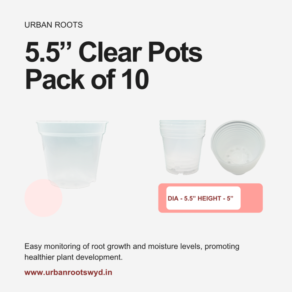 Clear Pots - Urban Roots